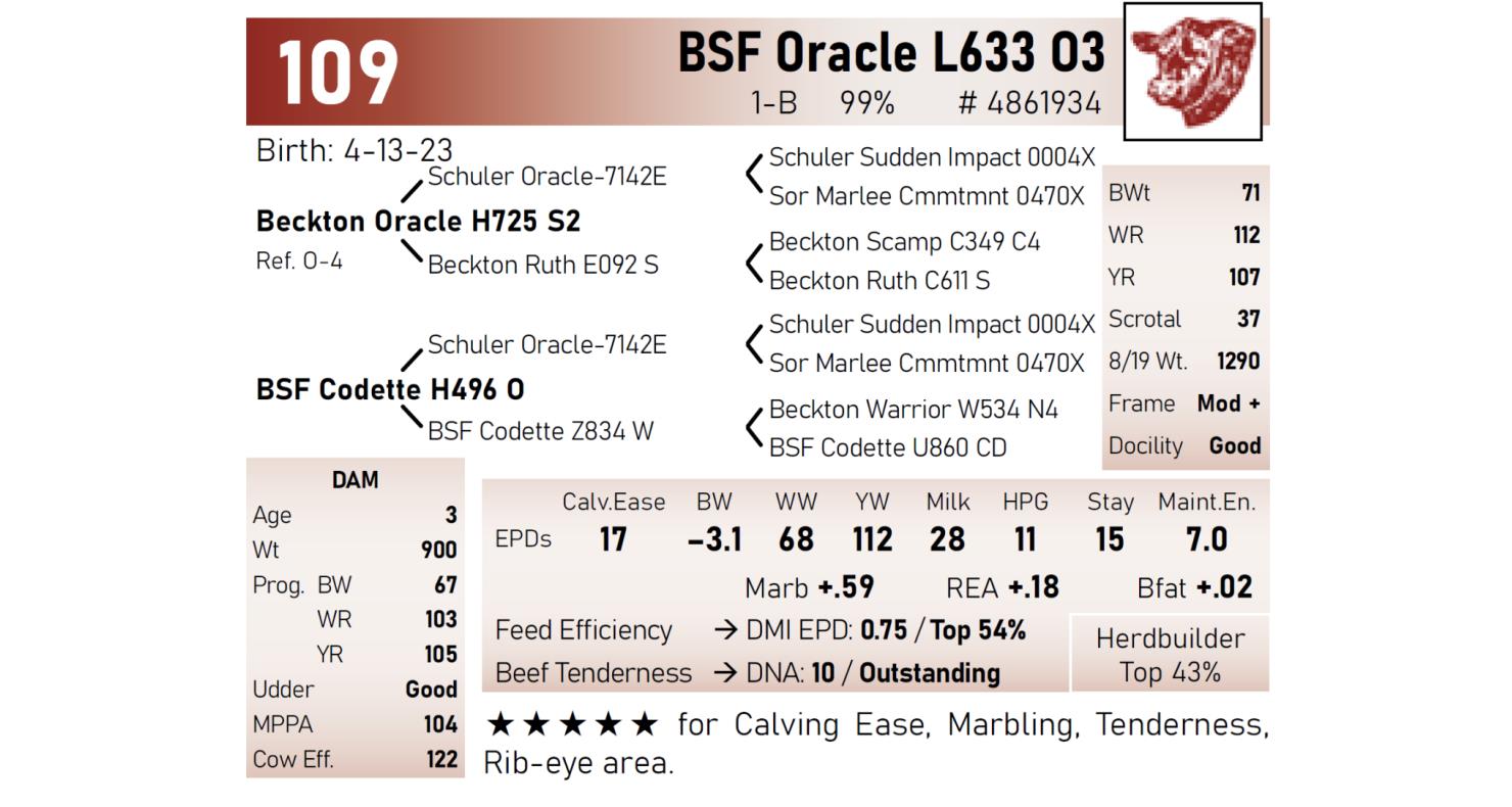Lot 109 - BSF Oracle L633 O3: Beckton Red Angus - Online Sale | Beckton ...