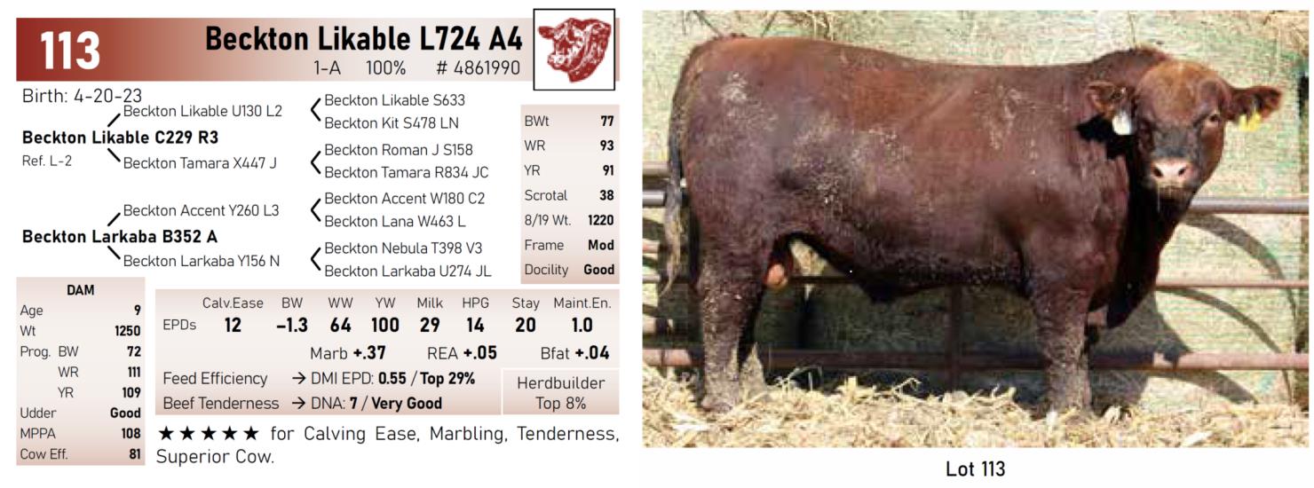 Lot 113 - Beckton Likable L724 A4: Beckton Red Angus - Online Sale ...