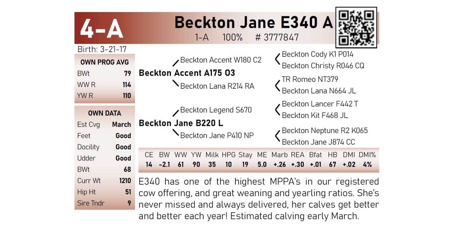 Choice of lots 4-A, 4-B: Beckton Red Angus - Online Sale | Beckton Red ...