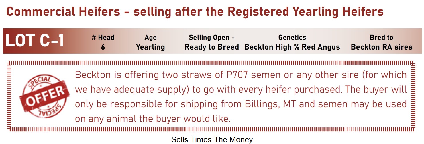 Lot c-1: Beckton Red Angus - 80th Production Anniversary Sale | DVAuction