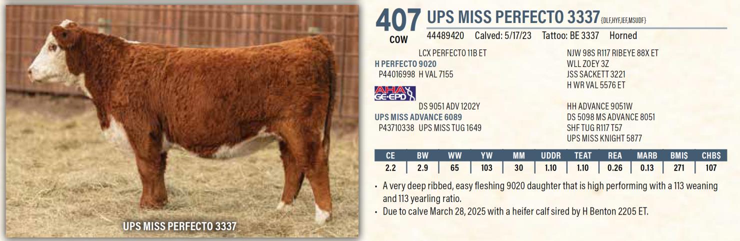 Lot 407: Upstream Hereford Ranch - Annual Production Sale | DVAuction