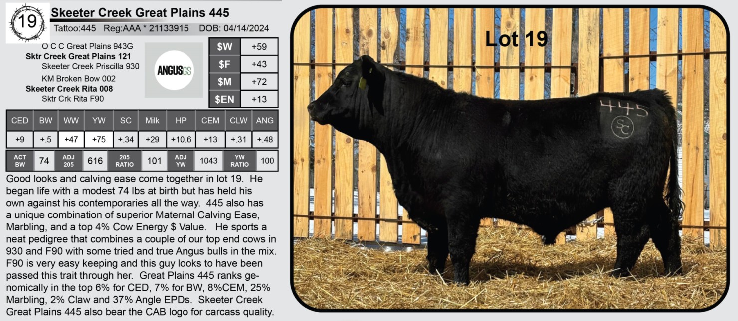 Lot 19 - Sktr Creek Great Plains 445: Skeeter Creek Ranch - Annual ...