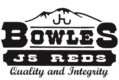 Broadcasting Real-Time Auctions | Bowles J5 Reds