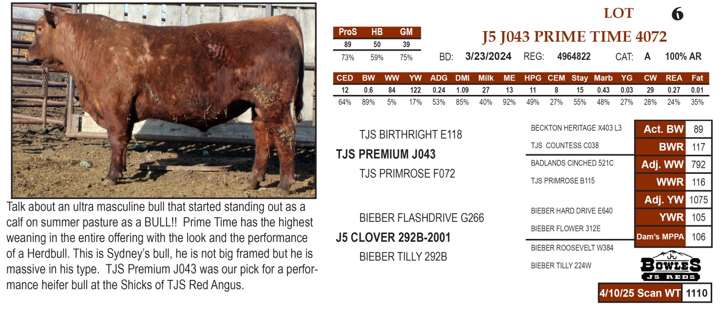 Lot 6 - J5 J043 PRIME TIME 4072: Bowles J5 Reds - Annual Sale | Bowles ...
