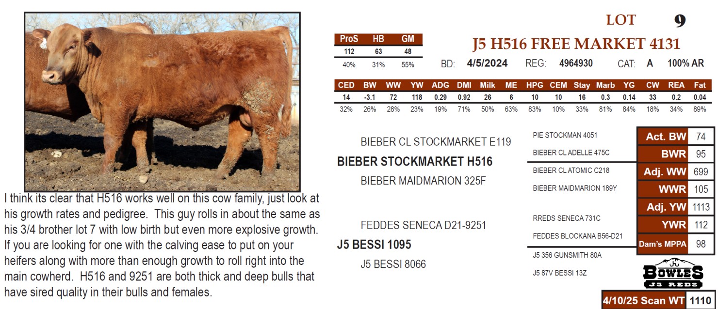 Lot 9 - J5 H516 FREE MARKET 4131: Bowles J5 Reds - Annual Sale | Bowles ...