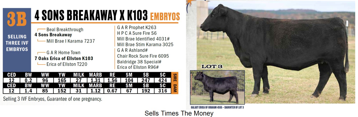 Lot 3b: Moon Shine Angus - Annual Production Sale | DVAuction