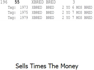 Lot 196: Cattleman's Columbus Livestock Auction - Special Replacement ...