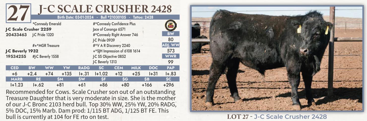 Lot 27: J-C Angus Ranch - 45th Anniversary Sale | DVAuction