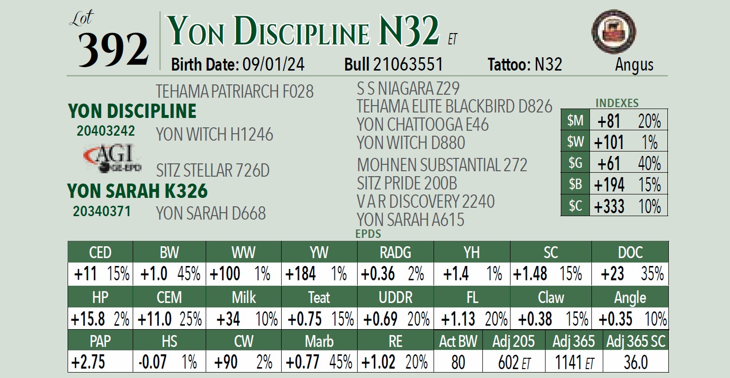 Lot 392: Yon Family Farms - Bull Sale | DVAuction