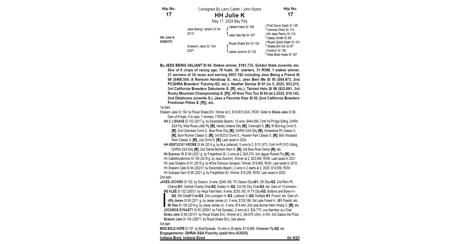 Lot 17 - HH Julie K: Indiana Quarter Horse Racing - Yearling Speed Sale ...