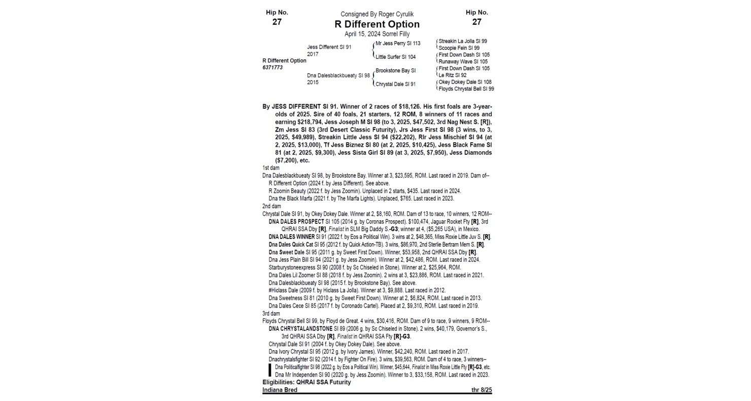 Lot 27 - R Different Option: Indiana Quarter Horse Racing - Yearling ...