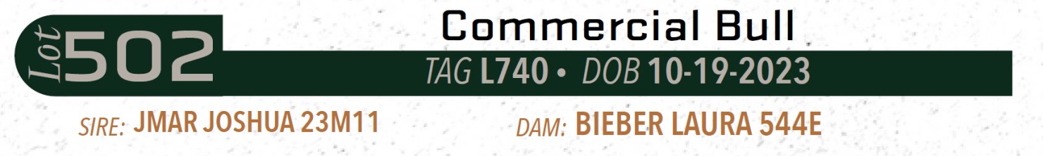 Lot 502: Circle F Farms, LLC - Annual Bull Sale | DVAuction