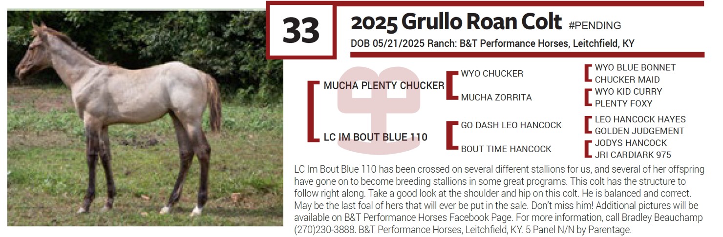 Lot 33 - Grullo Roan Colt: The Gathering - Online Production Sale | The ...