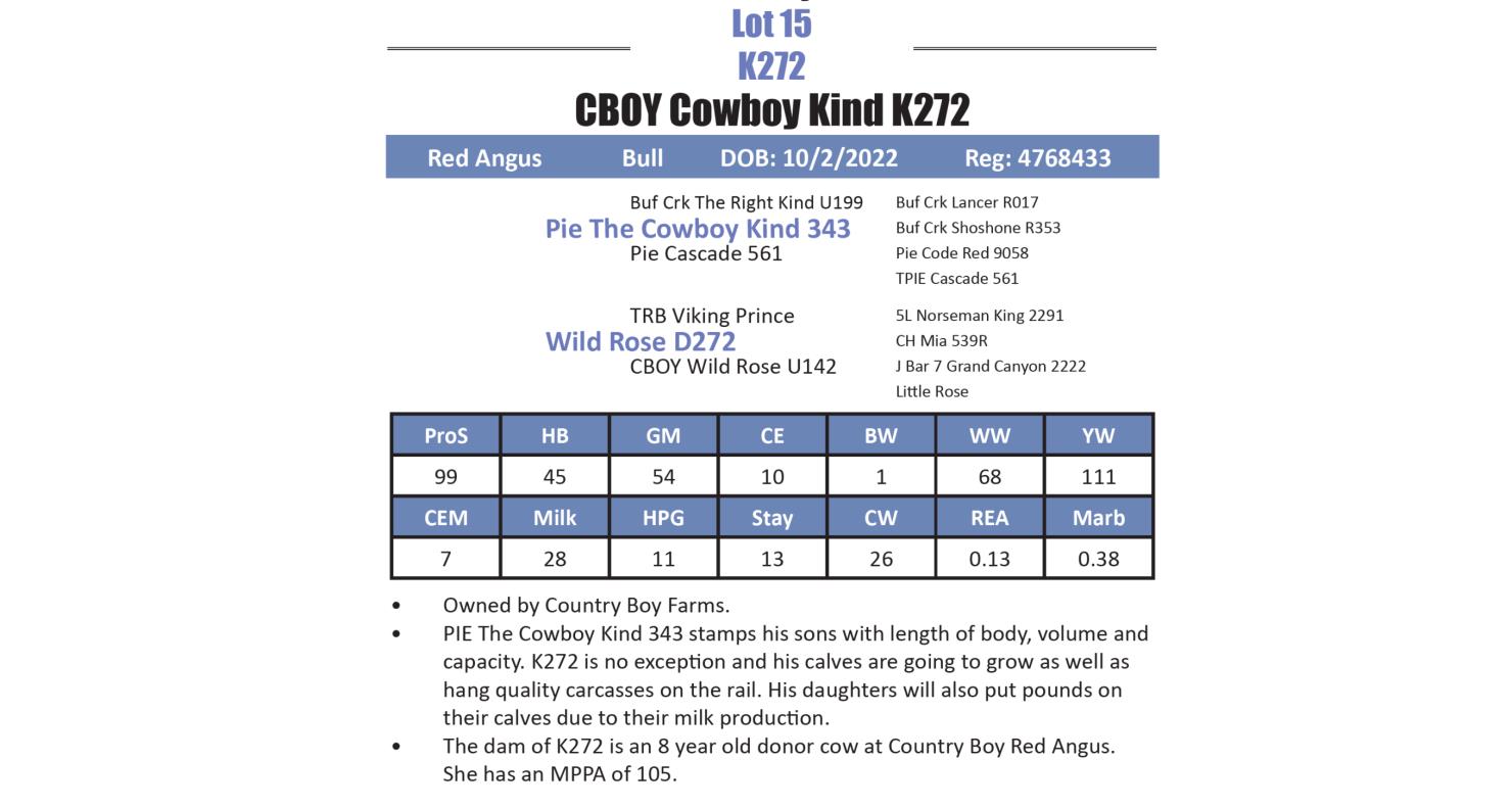 Lot 15 - CBOY COWBOY KIND K272: Palmetto Cattlemen's Showcase - Online Auction | Palmetto ...