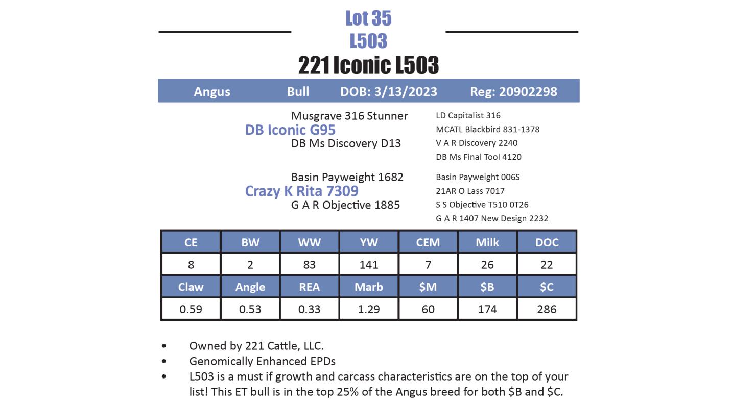 Lot 35 - 221 Iconic L503: Palmetto Cattlemen's Showcase - Online ...
