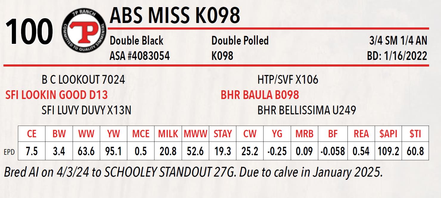 Lot 100: 7P Ranch - 49th Annual Production Sale | DVAuction