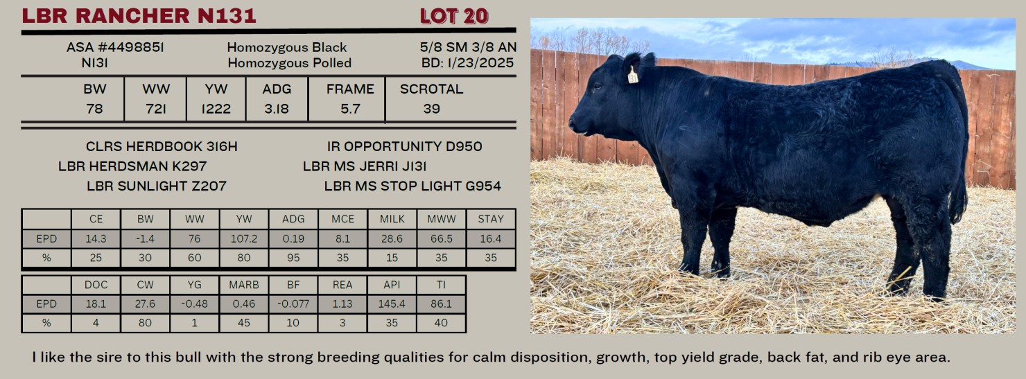 Lot 20 - LBR Rancher N131 Reg. #4498851: Little Bitterroot Ranch ...