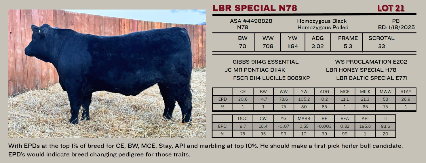 Lot 21 - LBR Sprcial N78 Reg. #4498826: Little Bitterroot Ranch ...