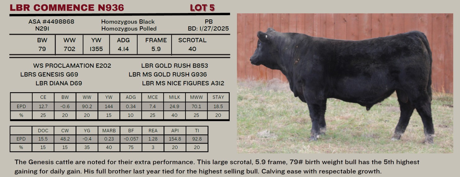 Lot 5 - LBR Commence N936 Reg. #4498868: Little Bitterroot Ranch ...
