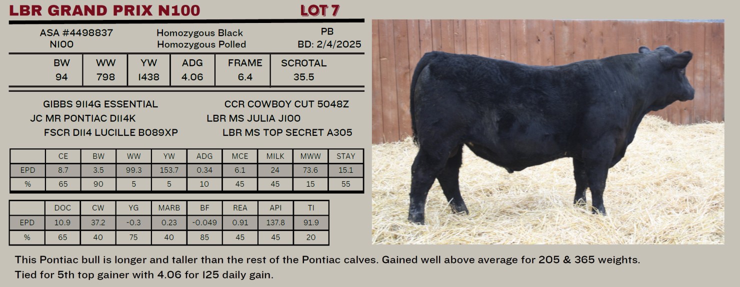 Lot 7 - LBR Grand Prix N100 Reg. #4498837: Little Bitterroot Ranch ...
