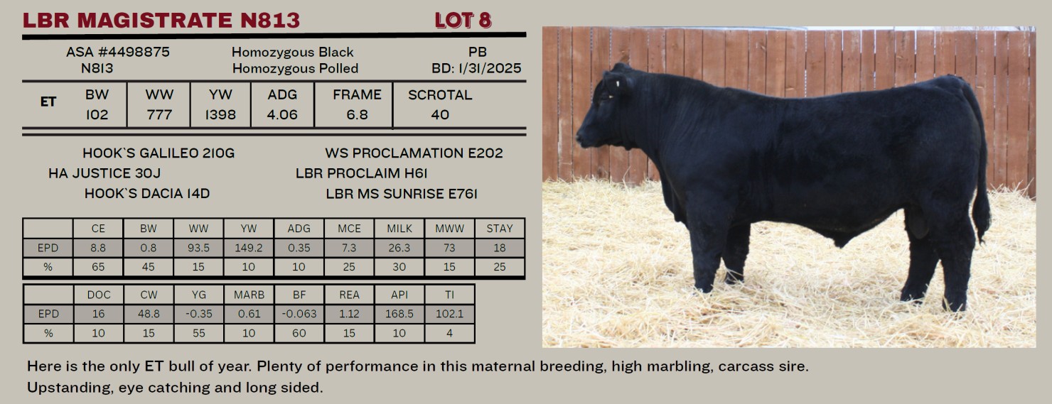 Lot 8 - LBR Magistratae N813 Reg. #4498875: Little Bitterroot Ranch ...