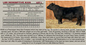 Lot 1 - LBR Redemptive N306 Reg #4498817: Little Bitterroot Ranch ...
