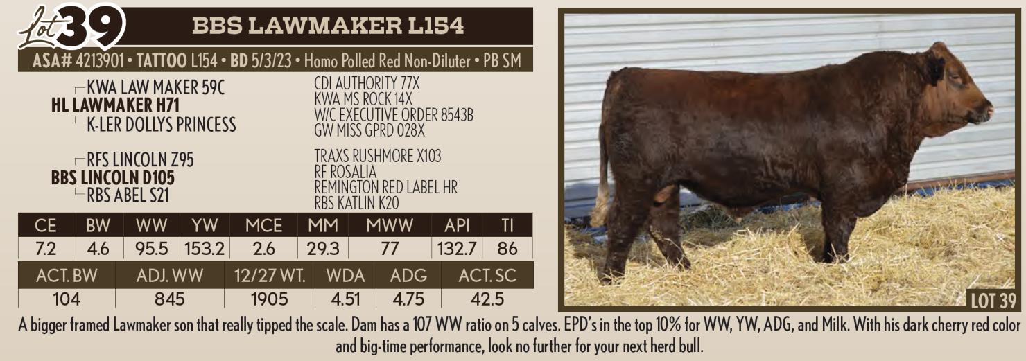 Lot 39: Silver Dollar Simmentals - With Guest Consignor Bata Brothers ...