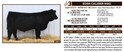 Lot 3: Silver Dollar Simmentals - Annual Simmental Bull Sale with Guest ...