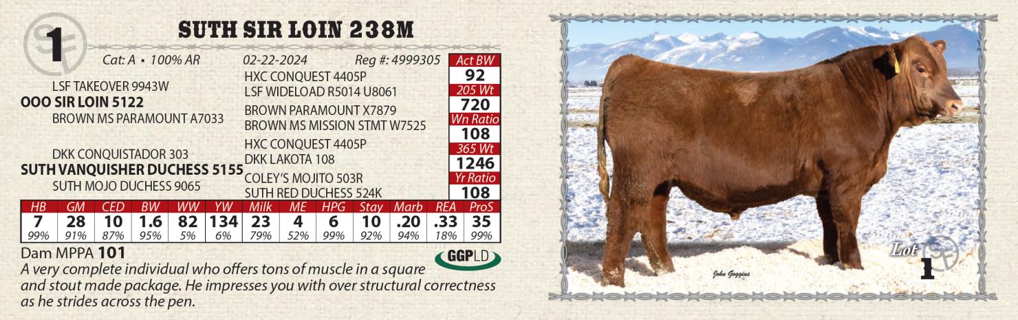 Lot 1: Sutherlin Farms Red Angus - Annual Production Sale | DVAuction