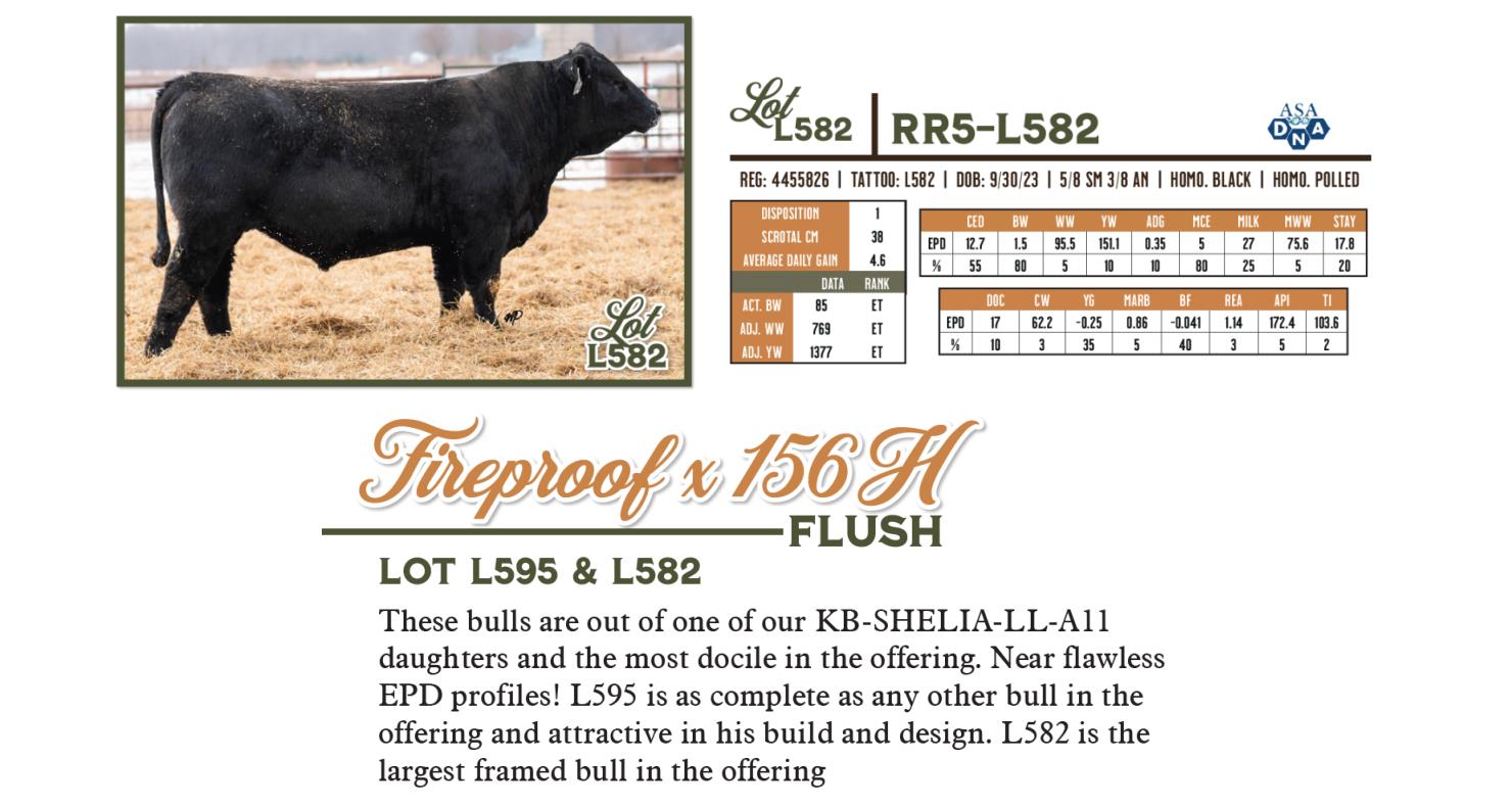 Lot L582 - RR5-L582: Rural Route 5 Farm - Production Sale | Rural Route ...