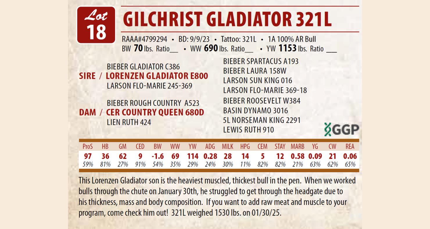 Lot 18: Gilchrist Auction Co. - The Red Reckoning - 50 Red Angus Bulls ...