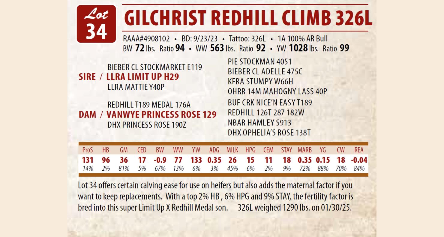 Lot 34: Gilchrist Auction Co. - The Red Reckoning - 50 Red Angus Bulls ...