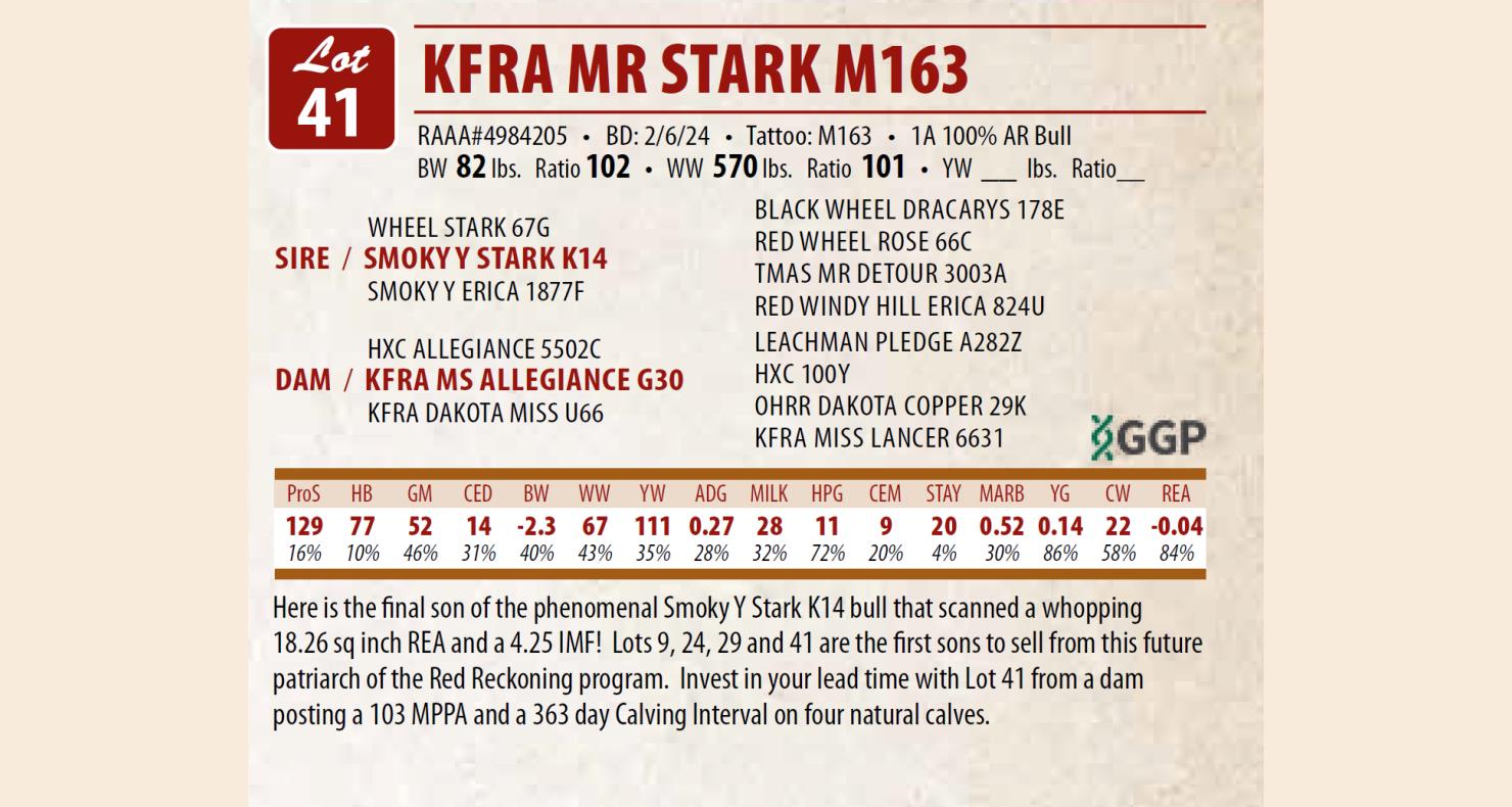 Lot 41: Gilchrist Auction Co. - The Red Reckoning - 50 Red Angus Bulls ...