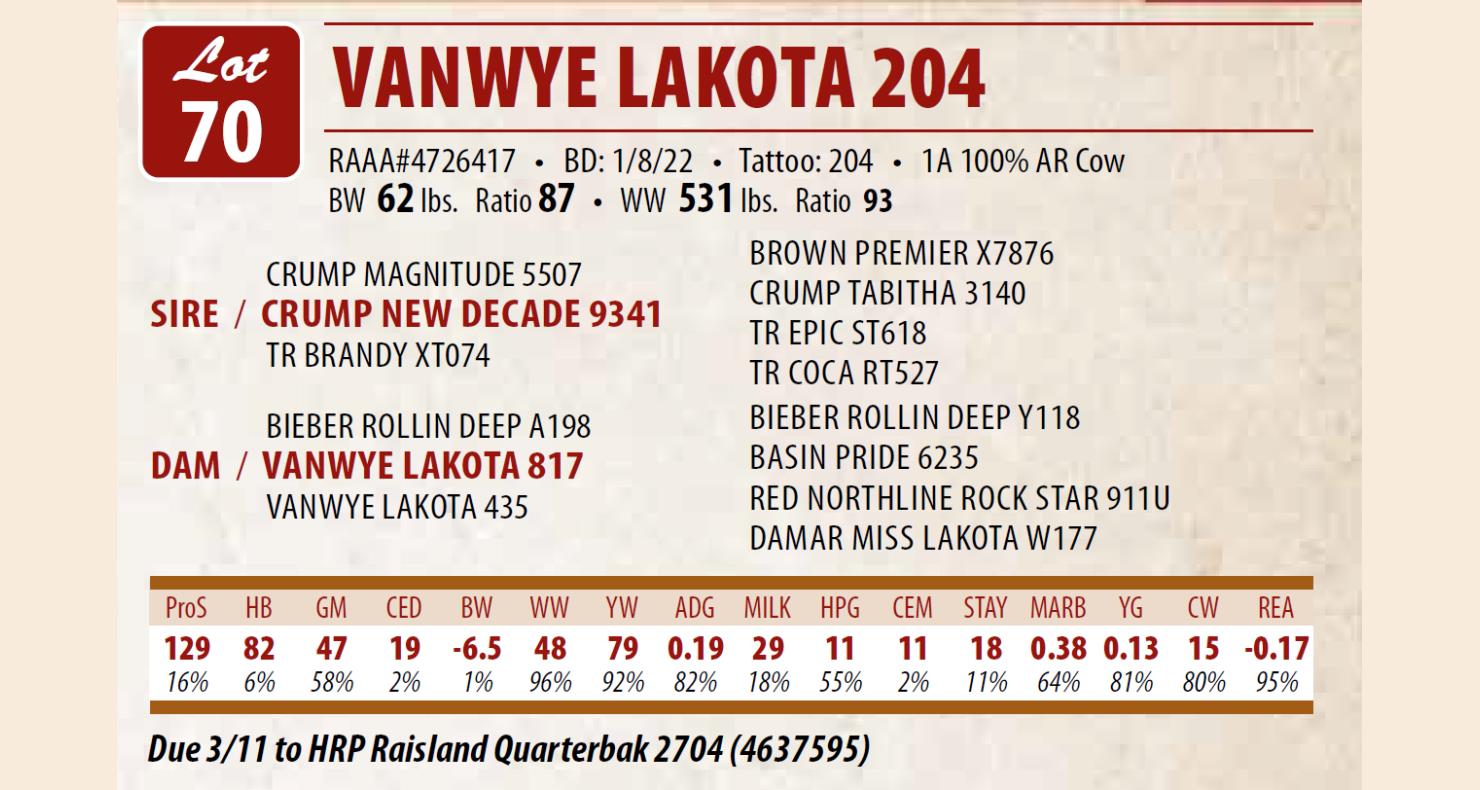 Lot 70: Gilchrist Auction Co. - The Red Reckoning - 50 Red Angus Bulls ...