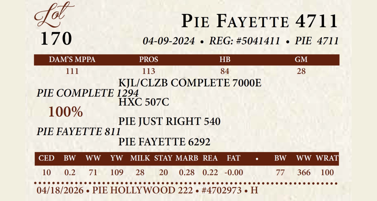 Lot 170: Pieper Red Angus - Annual Fall Red Angus Sale | DVAuction