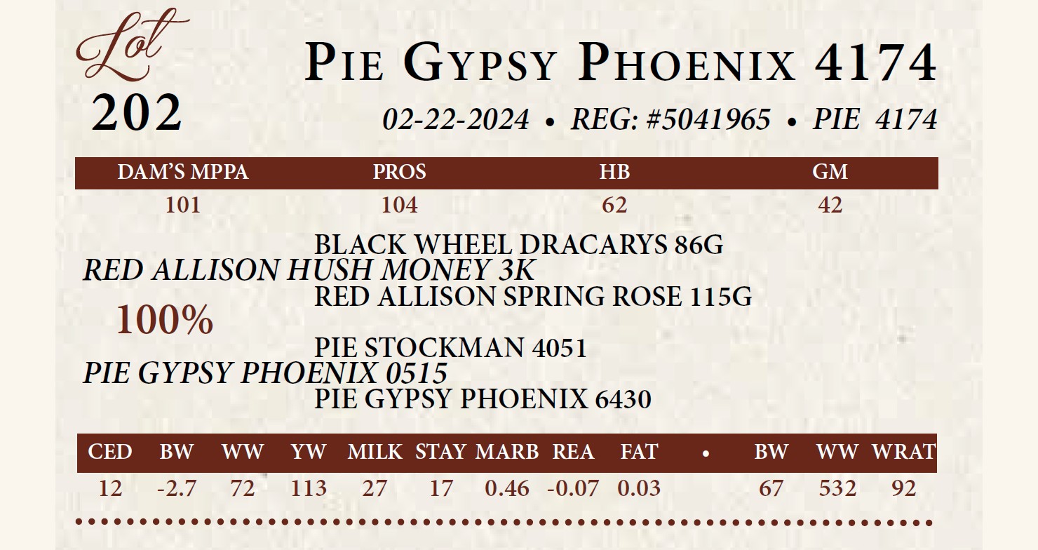 Lot 202: Pieper Red Angus Spring Bull Sale | DVAuction