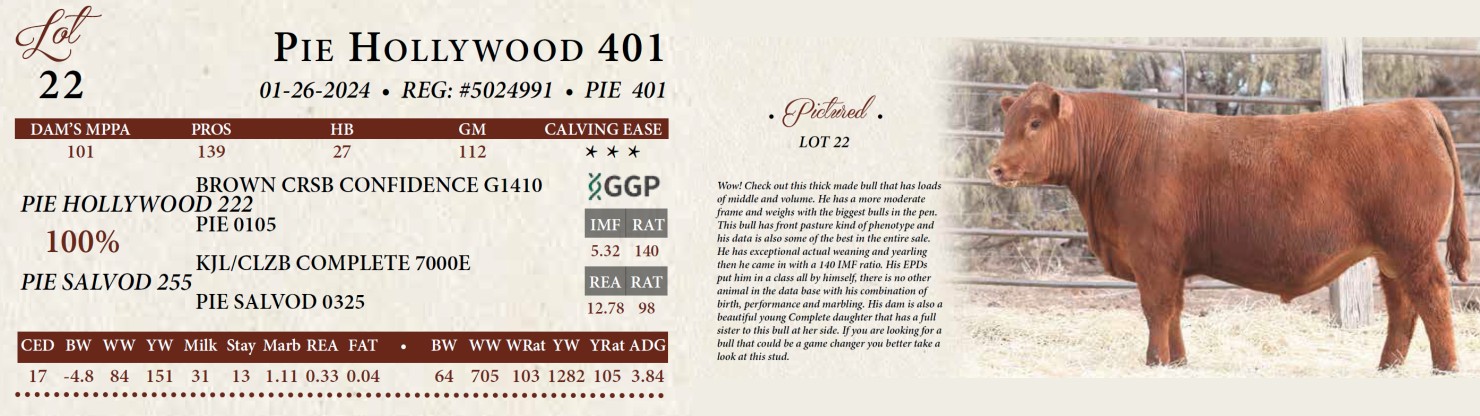 Lot 22: Pieper Red Angus Spring Bull Sale | DVAuction