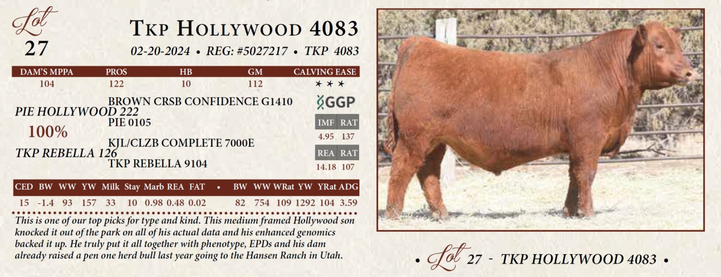 Lot 27: Pieper Red Angus Spring Bull Sale | DVAuction