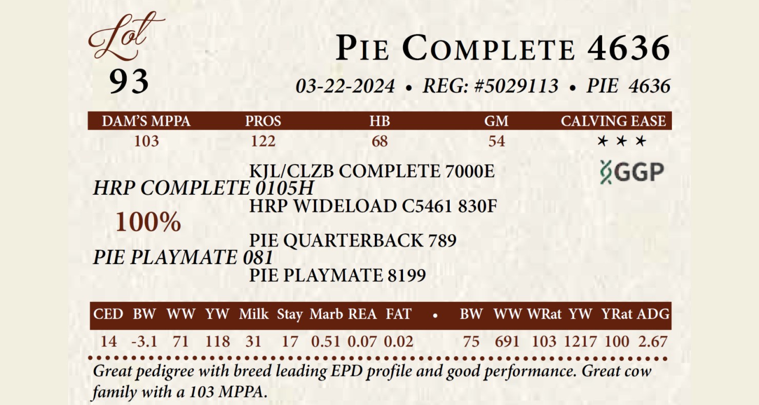 Lot 93: Pieper Red Angus - Annual Fall Red Angus Sale | DVAuction