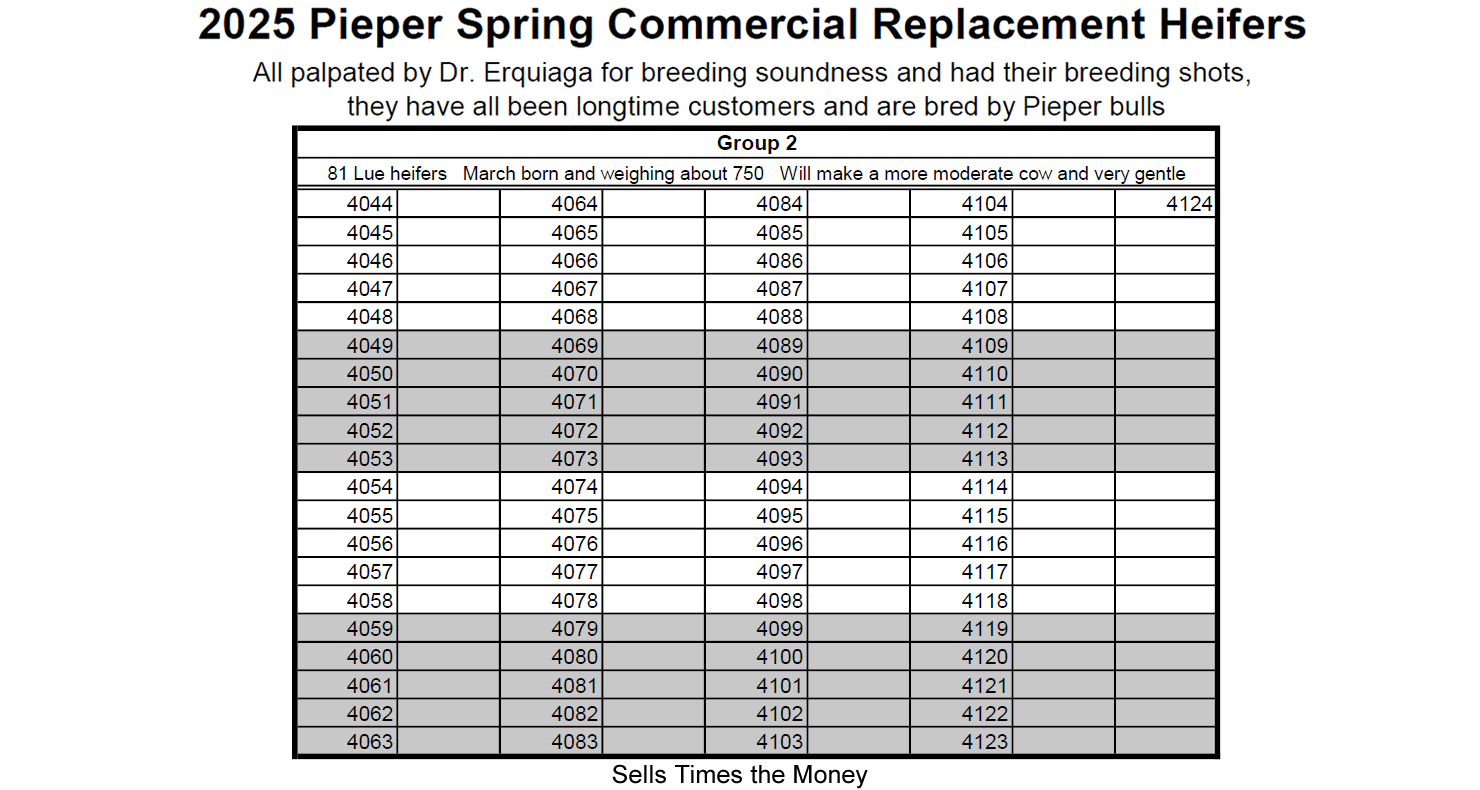 Lot g2-2: Pieper Red Angus Spring Bull Sale | DVAuction