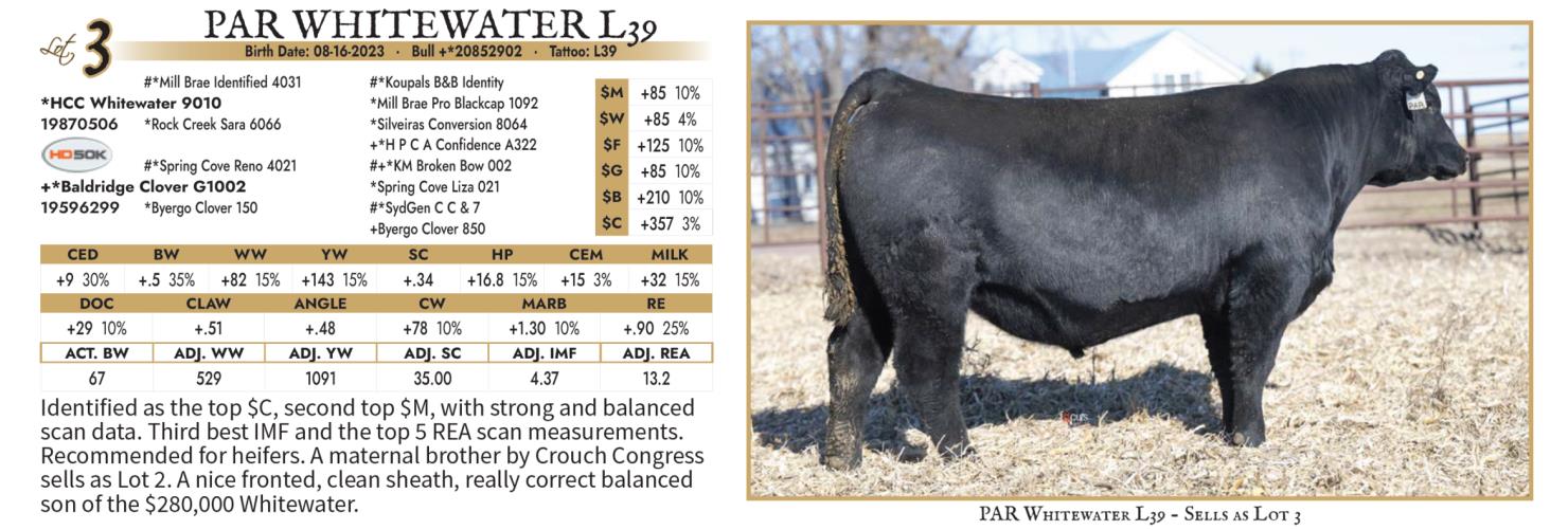 Lot 3: Powers Angus Ranch - Inaugural Sale | DVAuction