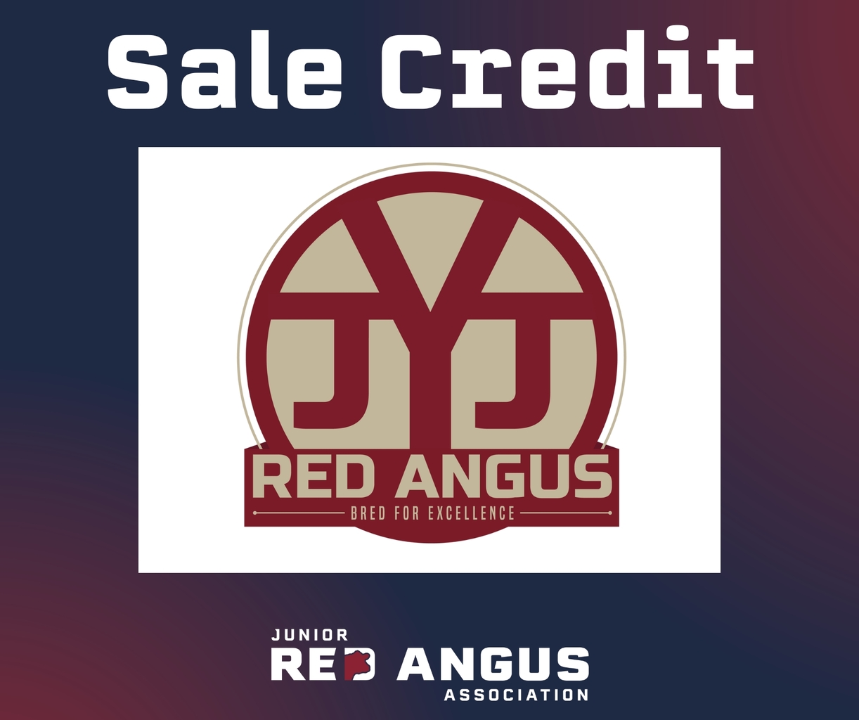 Lot 3 - JYJ Red Angus: Junior Red Angus Association of America ...