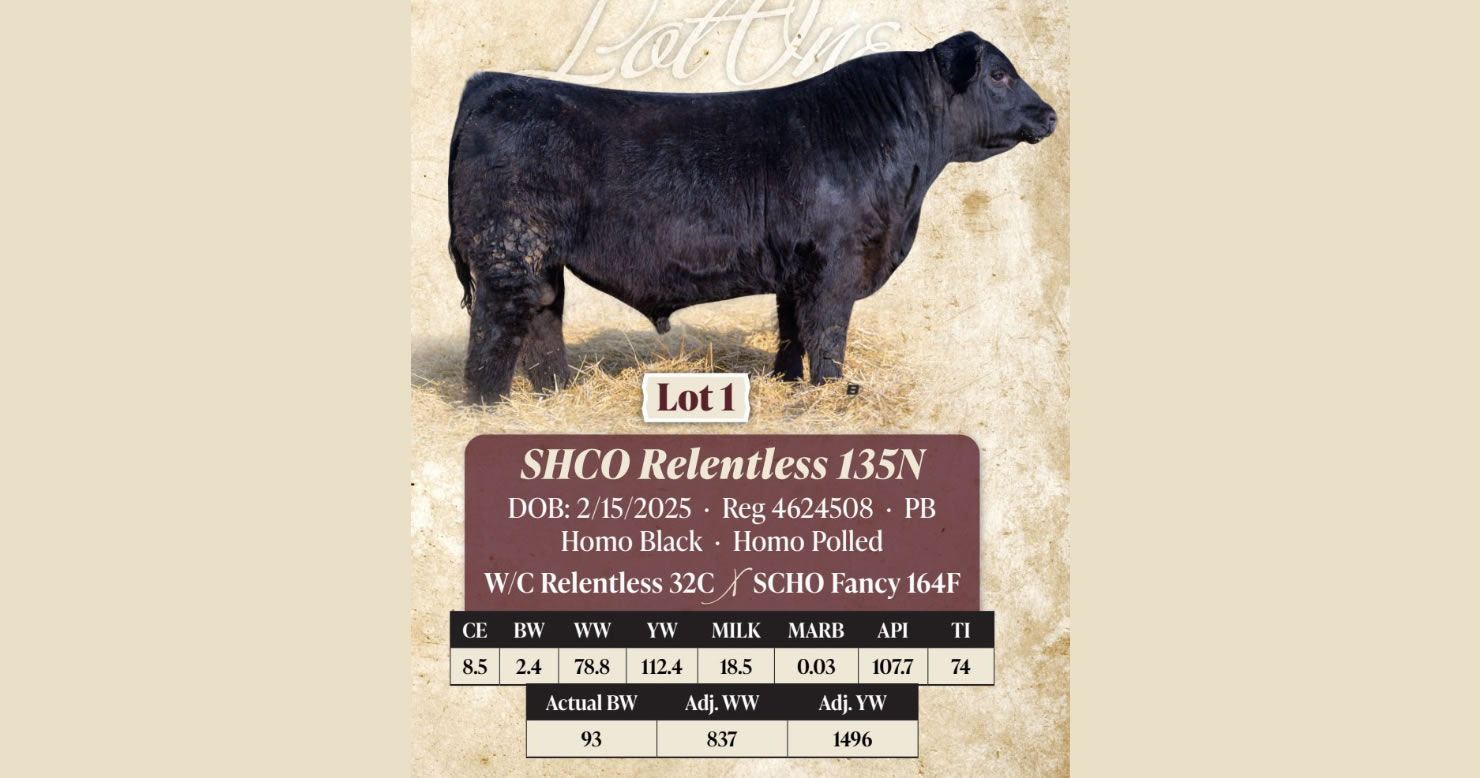 Lot 1 - SHCO Relentless 135N: Heartland Cattle Company - Annual ...