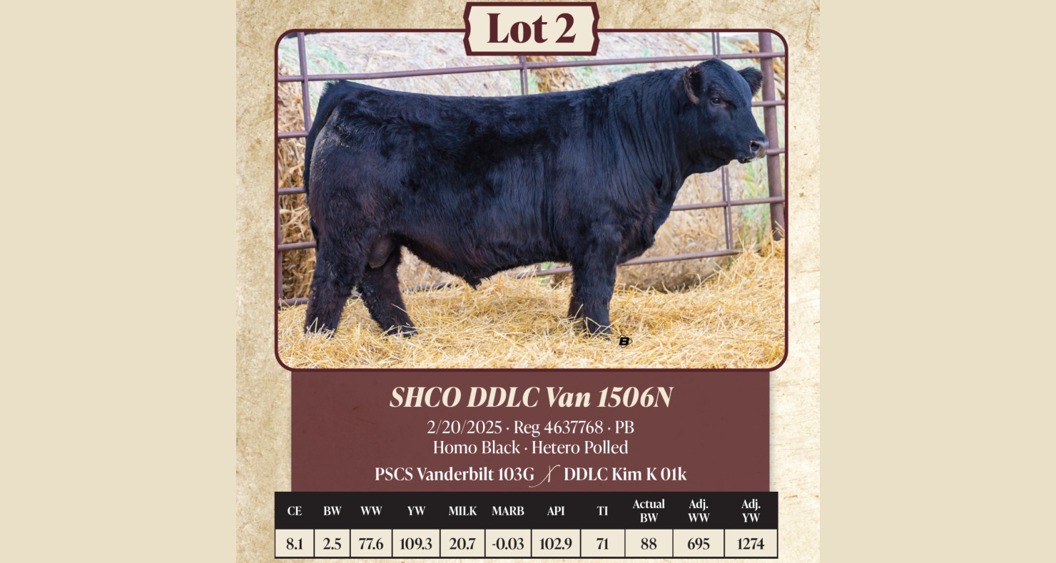 Lot 2 - SHCO DDLC Van 1506N: Heartland Cattle Company - Annual ...