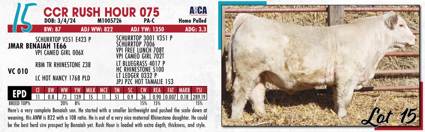 Lot 15: Christensen Charolais Ranch - Annual Charolais Bull ...