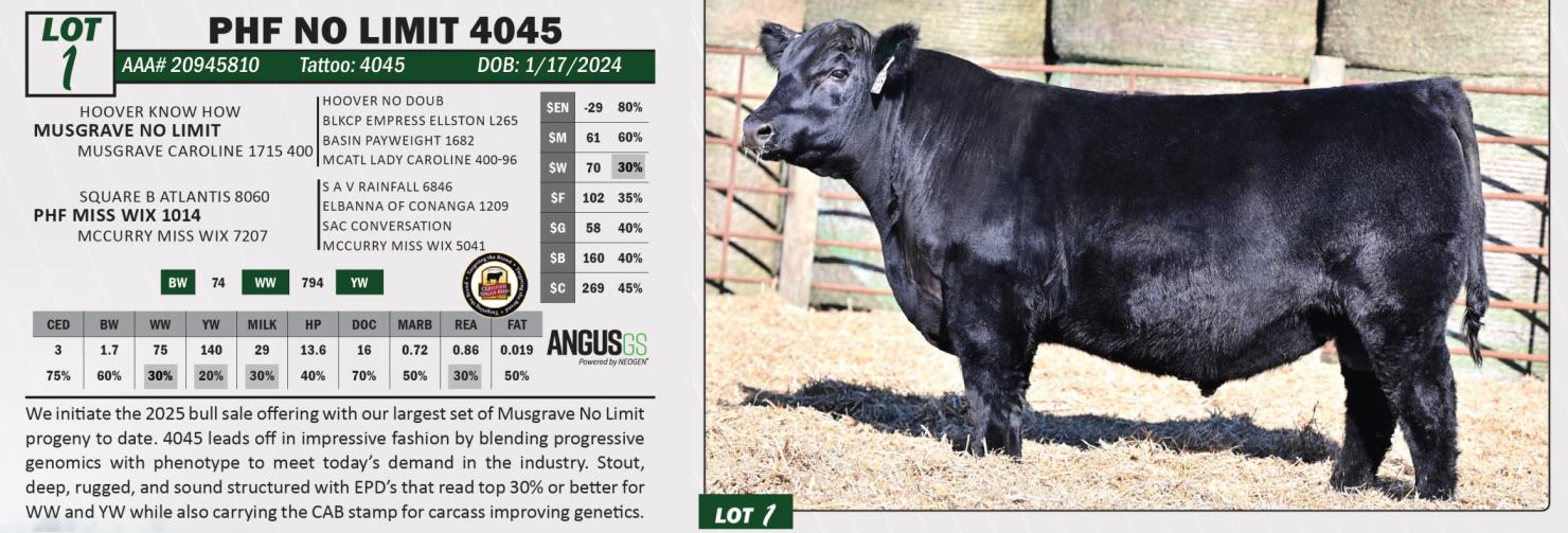 Lot 1: Pleasant Hill Farms - Spring Production Sale | DVAuction