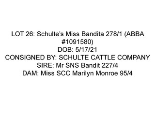 Lot 26: Broken Triangle Cattle Company - The Ranchers Winter Gathering ...