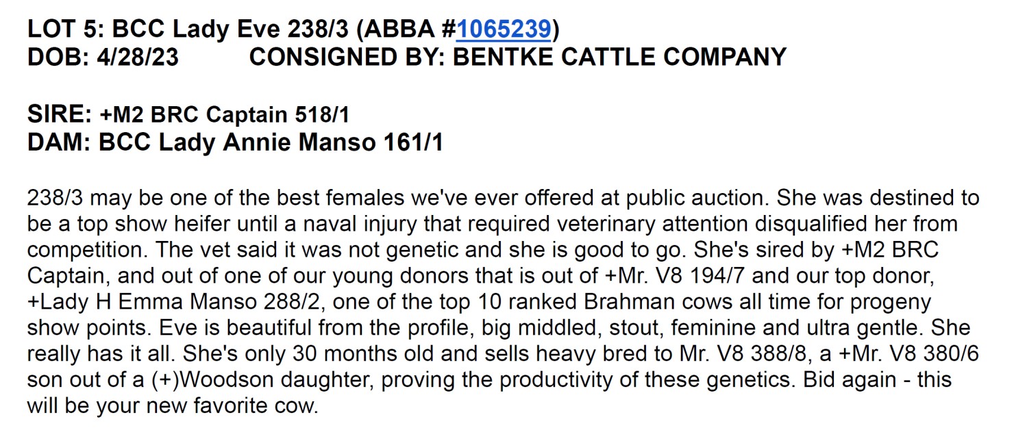 Lot 5: Broken Triangle Cattle Company - The Ranchers Winter Gathering ...