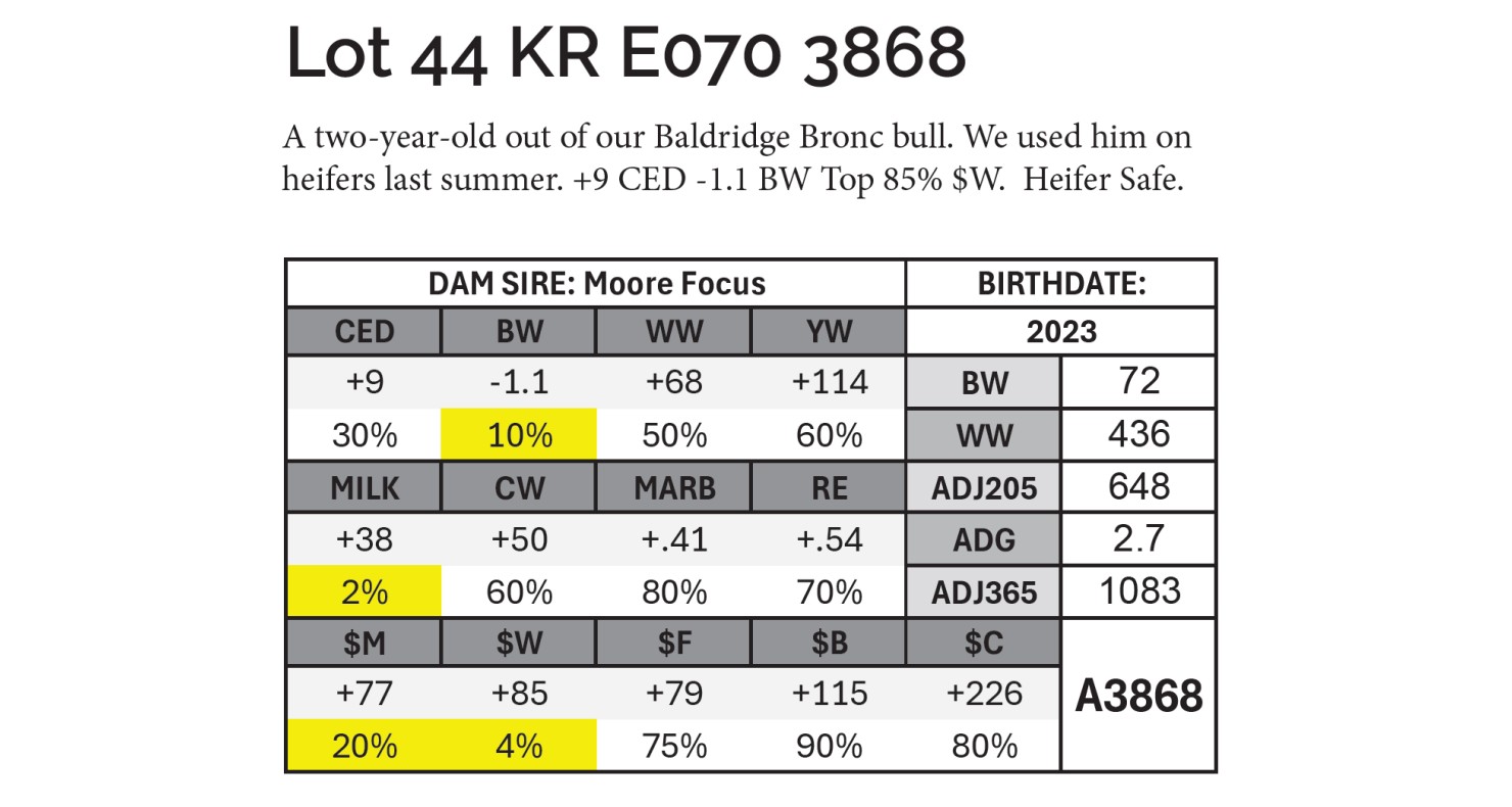 Lot 44: Kugler Ranch - Annual Bull Sale | DVAuction