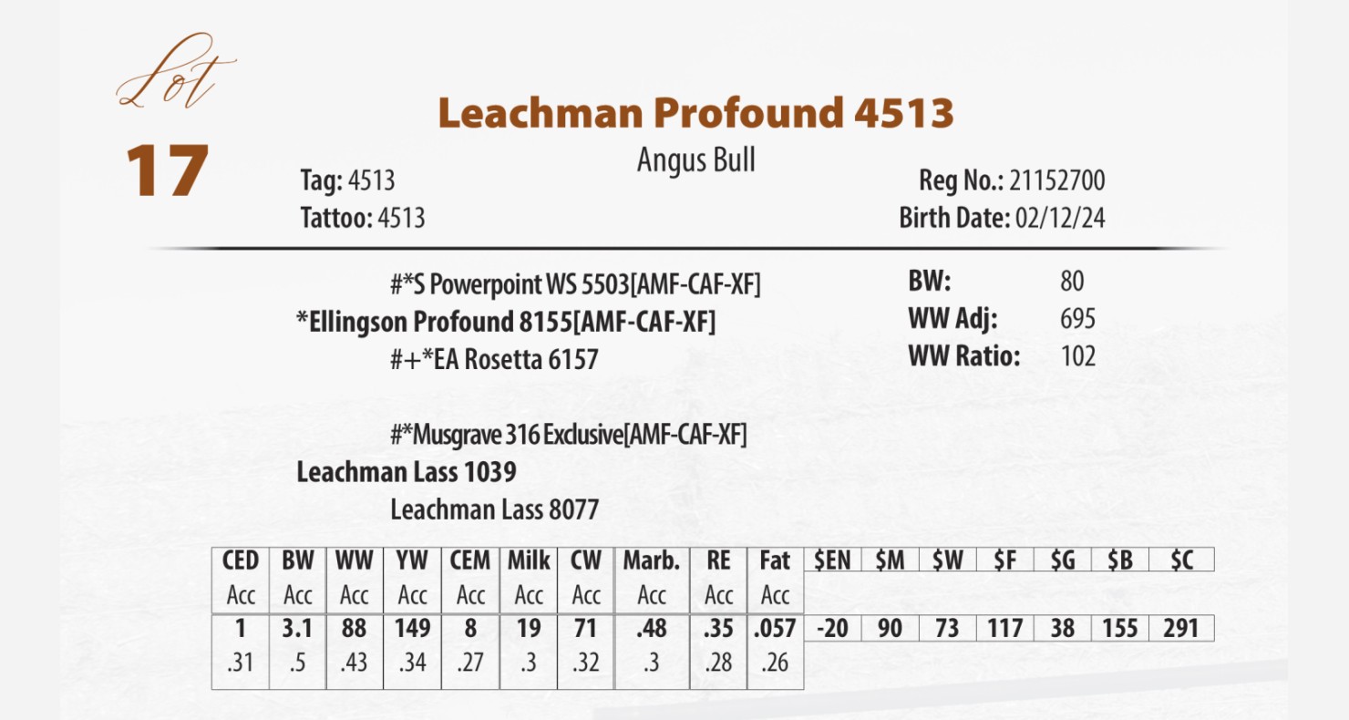 Lot 17 - Leachman Profound 4513: Leachman Angus Ranch - Online Sale ...